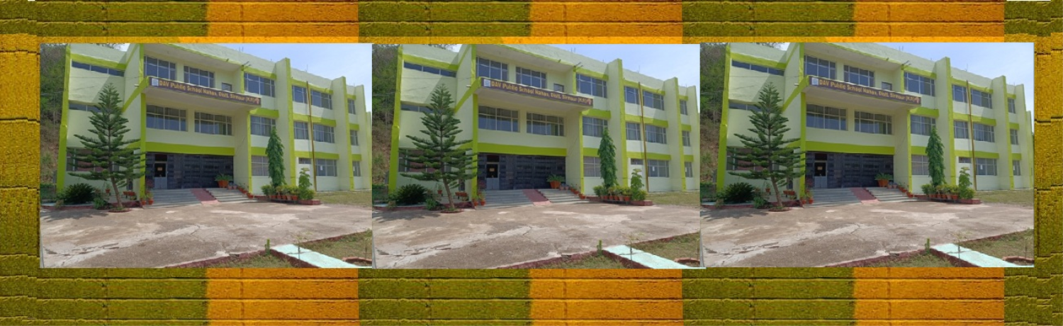 DAV Public School, Nahan